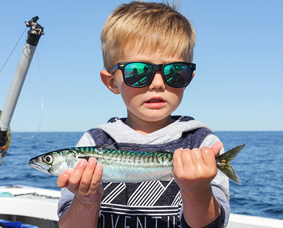 Chasing Atlantic Bluefin Tuna - The Fishing Website