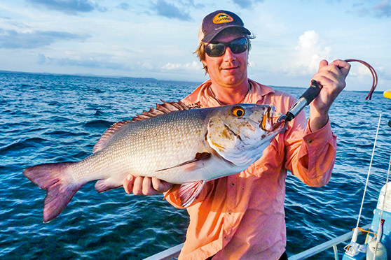 Ciguatera Poisoning - The Fishing Website