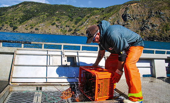 Three Days On Board a Commercial Cray Boat - The Fishing Website