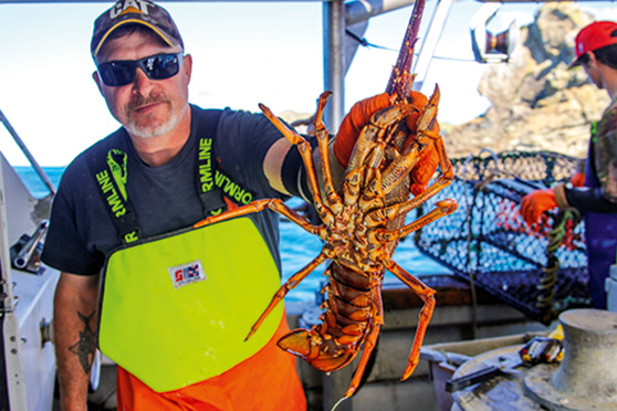 Three Days On Board a Commercial Cray Boat - The Fishing Website