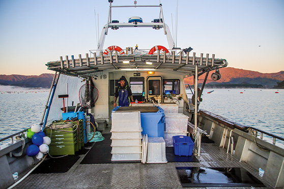 Three Days On Board a Commercial Cray Boat - The Fishing Website