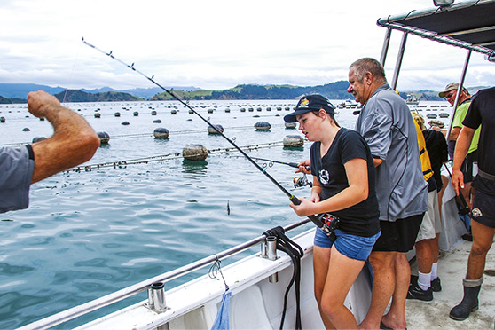 Western Coromandel Fishing Holiday Tips - The Fishing Website