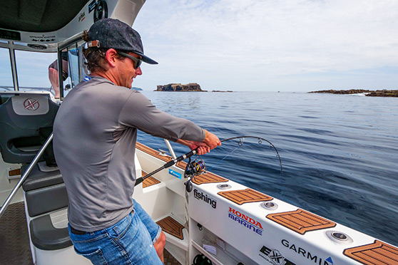 Best Drag Systems for Catching Kingfish - The Fishing Website