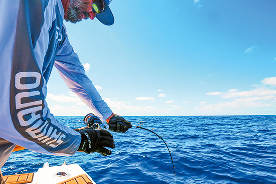 Best Drag Systems for Catching Kingfish - The Fishing Website