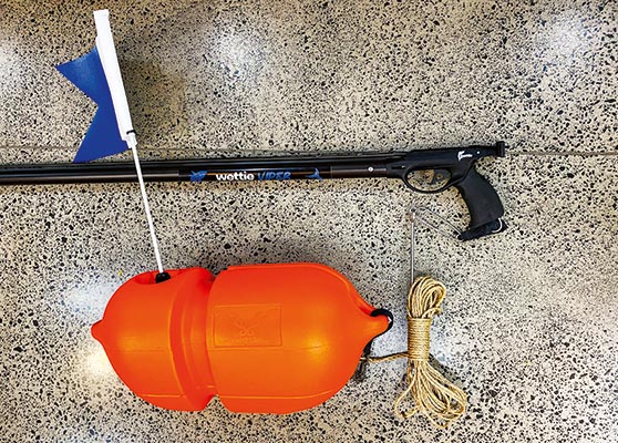 Spearfishing: Float Lines vs Reel Guns - The Fishing Website