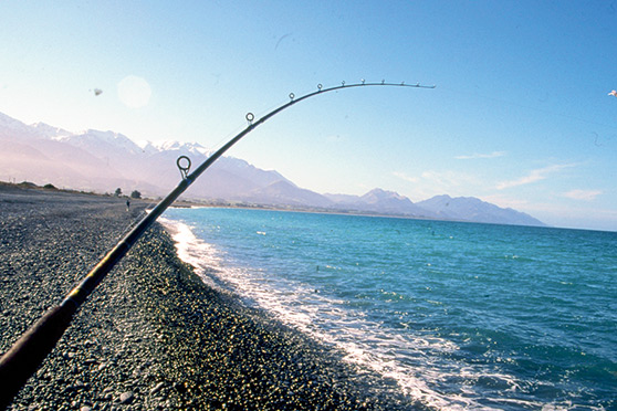 Four Great Spring Options for Catching Trout - The Fishing Website