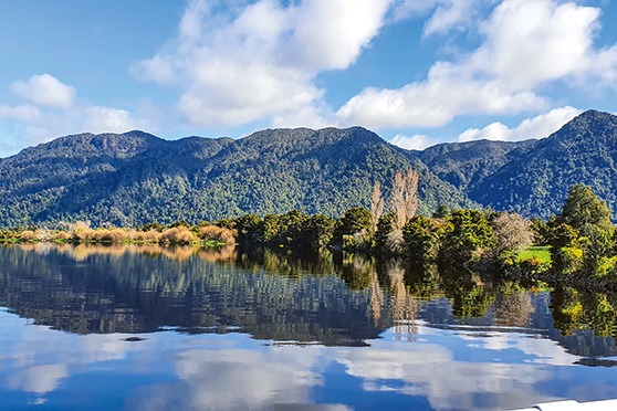 Golden Bay: A Top Summer Option - The Fishing Website
