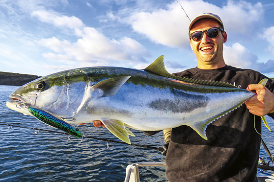 Hauraki Gulf Kingfish Tips from Nick Jones - The Fishing Website