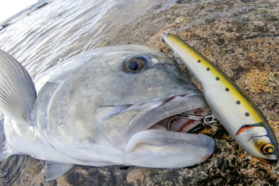 Land-based Fishing in Rarotonga - The Fishing Website