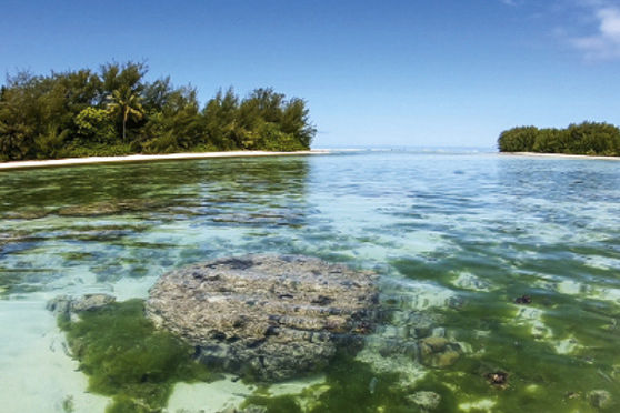 Land-based Fishing in Rarotonga - The Fishing Website