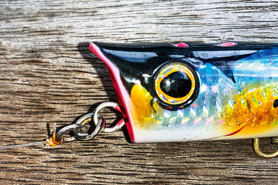 Connecting Leader to Lures - The Fishing Website