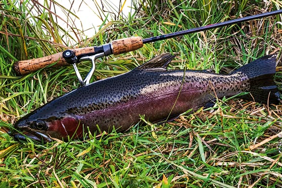 Light Tackle Spinning for Trout - The Fishing Website