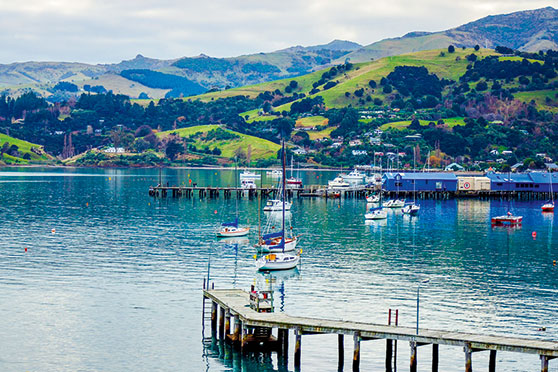 Did Lockdown Affect the Fishing - The Fishing Website