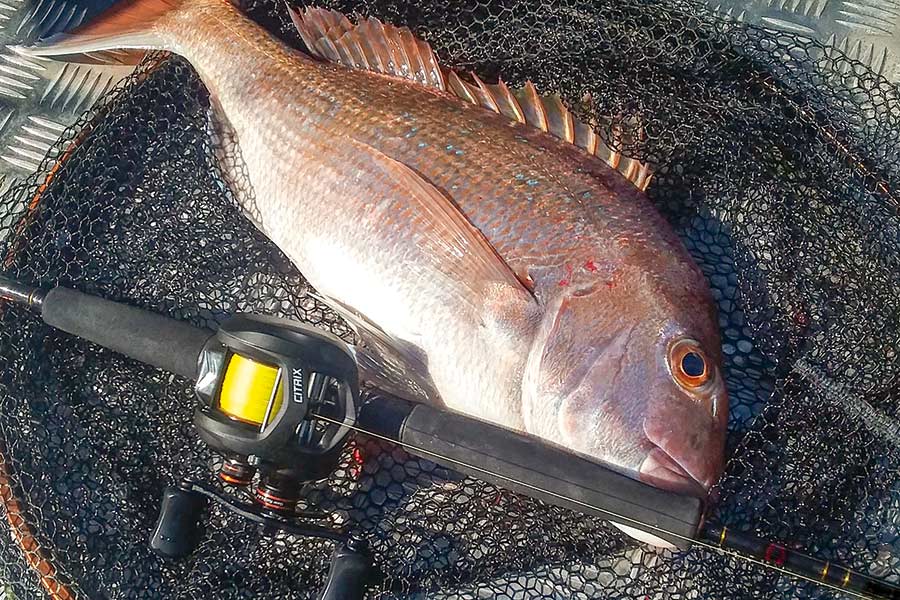 Slow Jigging with the Mussel Moocher - The Fishing Website