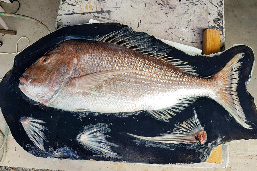 Fish Replicas and Taxidermy - The Fishing Website