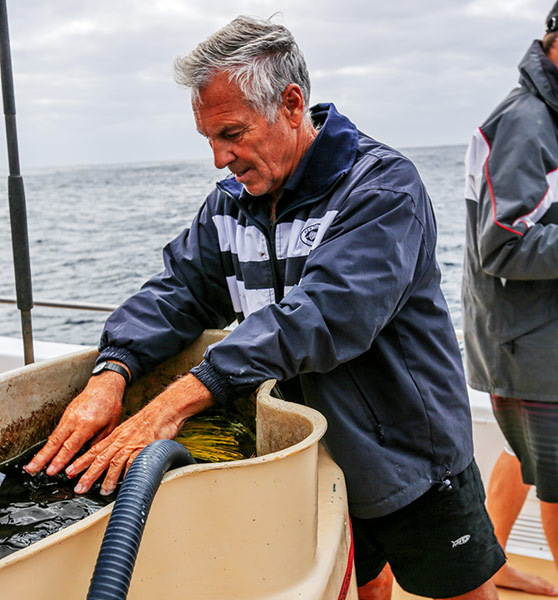 Captain Rick Pollock: Part 4 - The Fishing Website