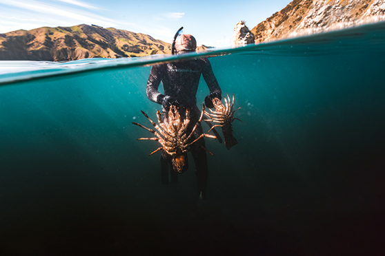 Sam in the Wild - The Fishing Website