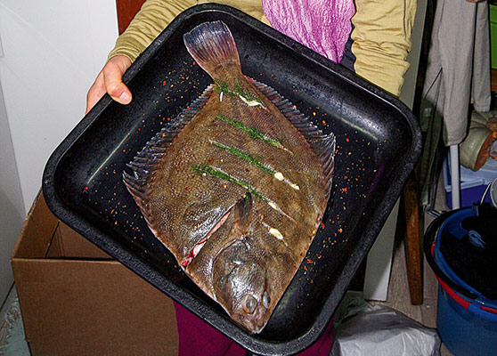 Savouring the Flavour of Fish - The Fishing Website