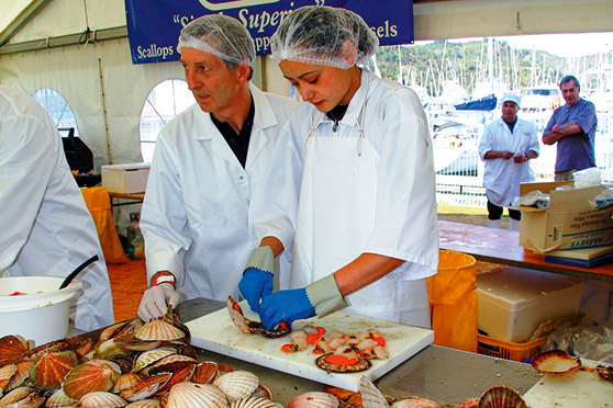NZ Scallops – Part 1 - The Fishing Website