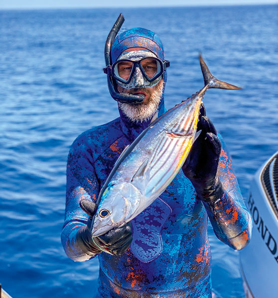 Skippies, Kingfish and Whale Sharks: A Spearfishing Trip to Remember ...