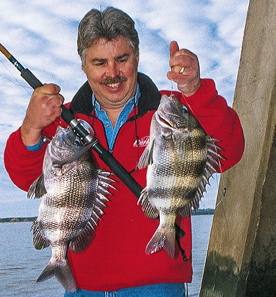 Snapper - Everything You Need to Know - The Fishing Website