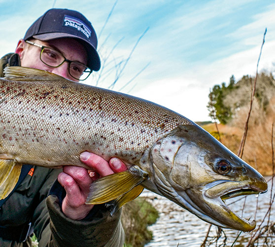 The Taieri Treat - The Fishing Website