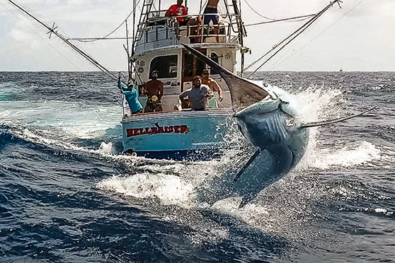 An Interview with Captain Tony Carpenter - The Fishing Website