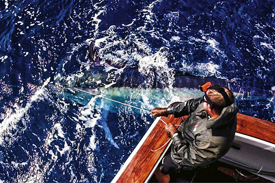 An Interview with Captain Tony Carpenter - The Fishing Website