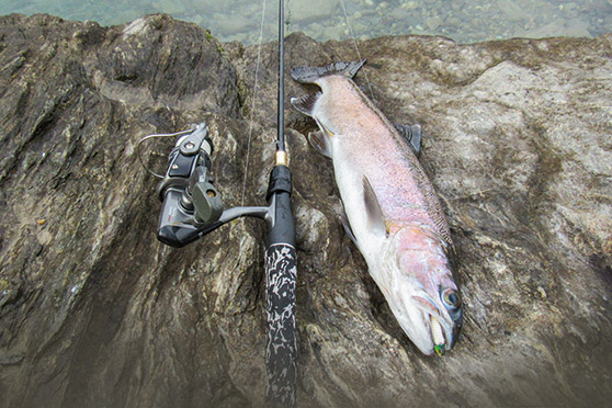 Freshwater Fishing with White Lures - The Fishing Website