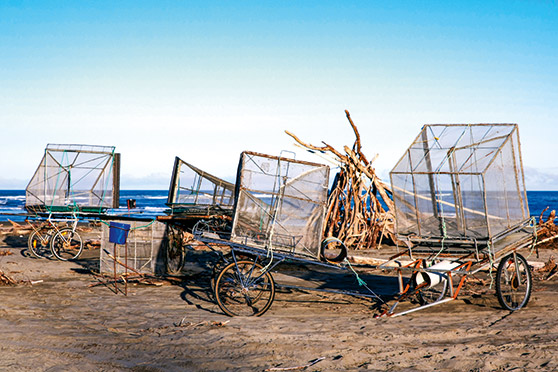 Whitebaiting 2020 - The Fishing Website