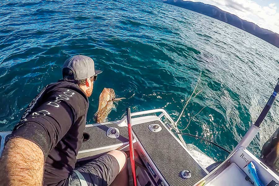 The 20lb Hunt: Part 3 - Soft-Bait Edition - The Fishing Website