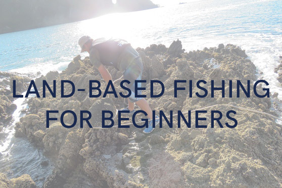 Land-based Fishing Hub - The Fishing Website