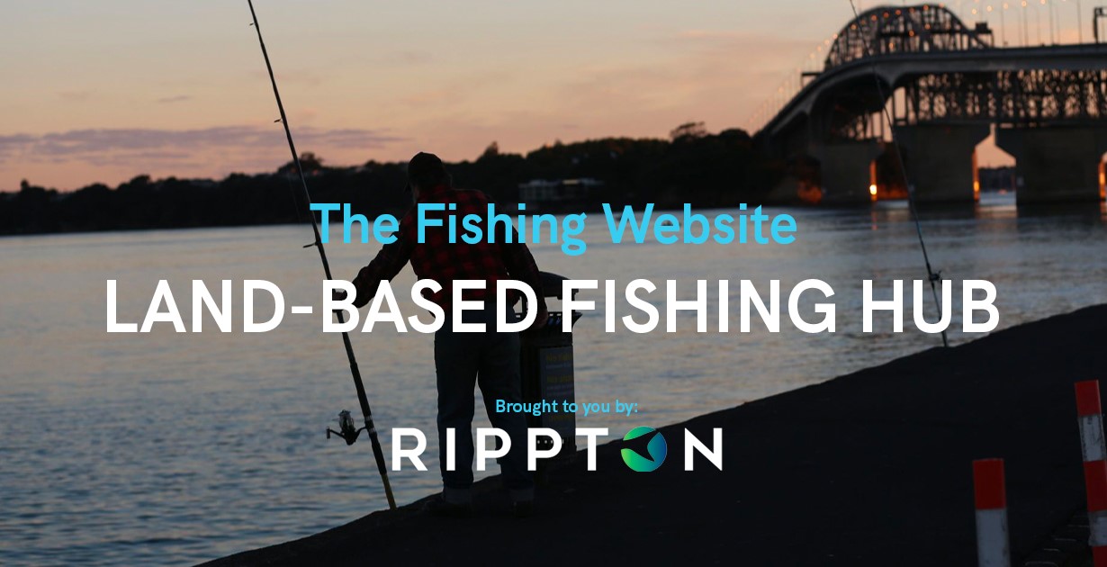 Land-based Fishing Hub - The Fishing Website