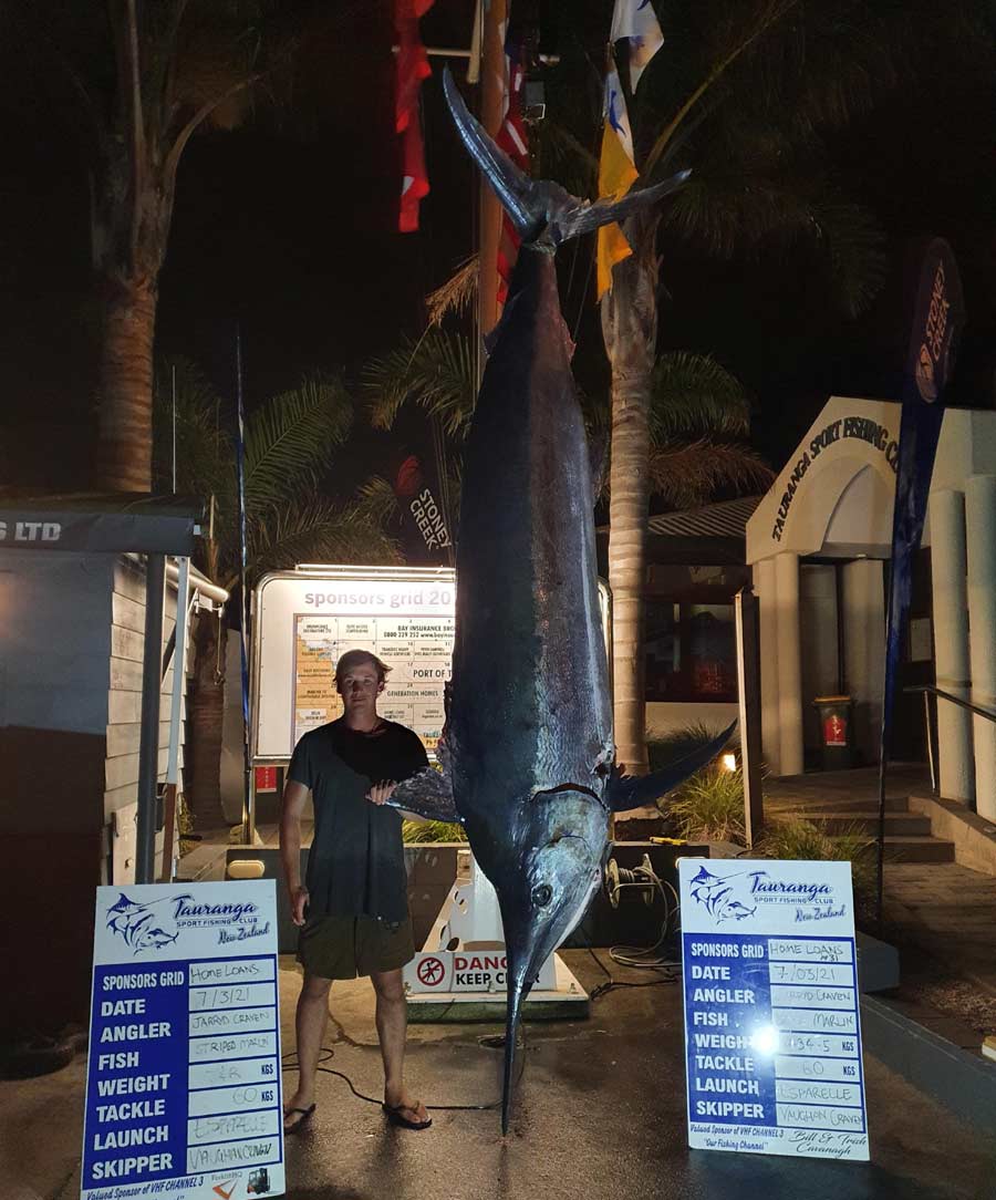 Monster black marlin from Schooner Rocks - The Fishing Website