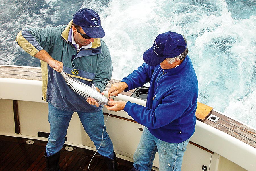 Unlocking the Fishing Food Chain – Part 1 - The Fishing Website