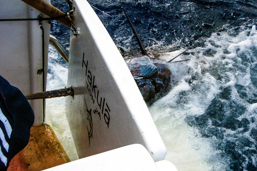 Handling Hazardous Fish - The Fishing Website