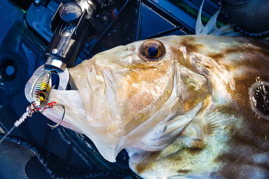 Fishing for the Future - The Fishing Website
