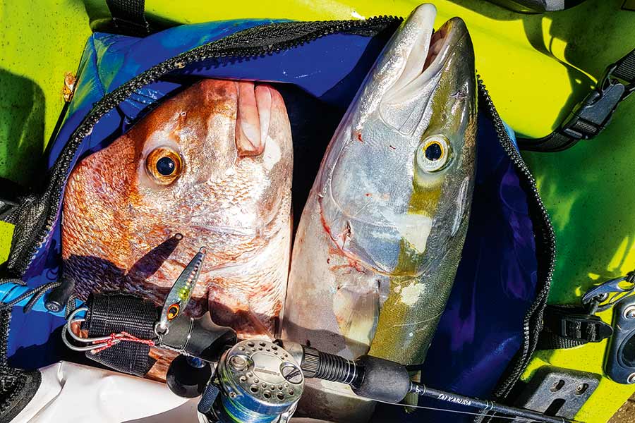 Fishing for the Future - The Fishing Website