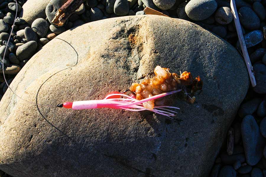Targeting Lemonfish - The Fishing Website