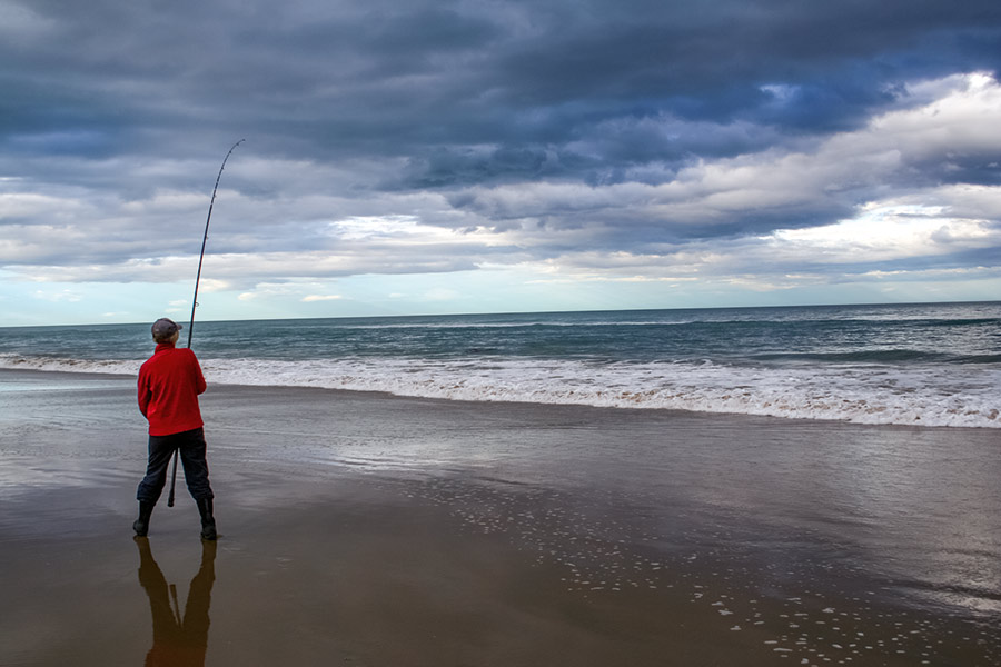 Targeting Lemonfish - The Fishing Website