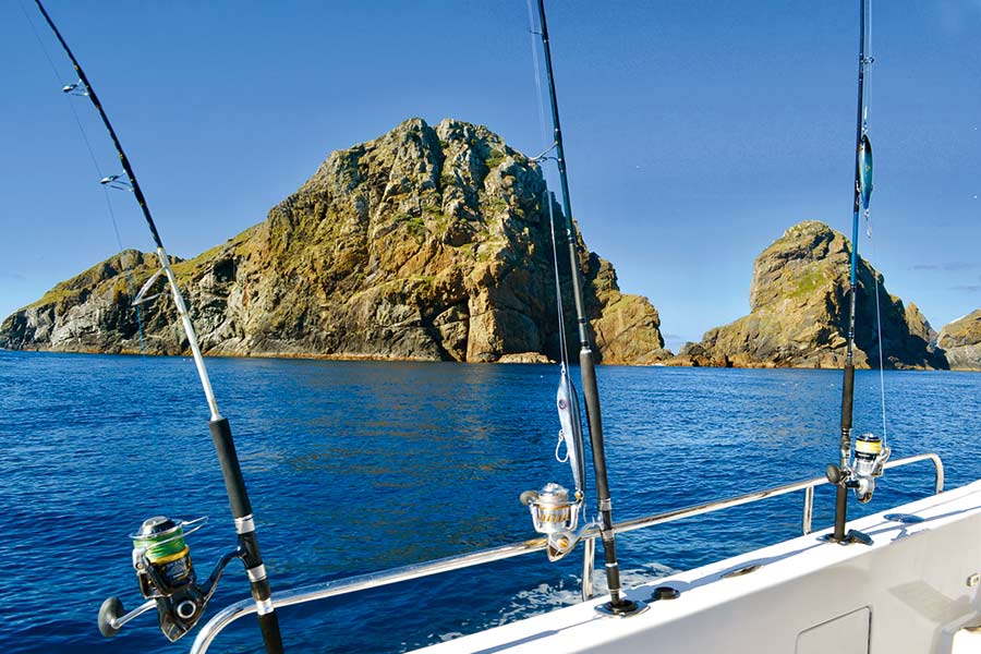 Kingfish on Light Lure Tackle - The Fishing Website