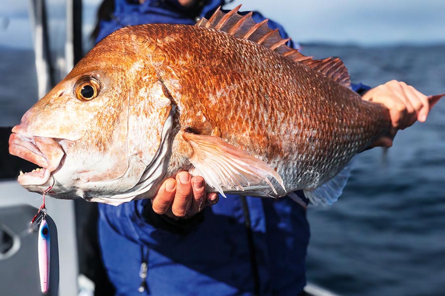 The Magic of Micro-Jigs - The Fishing Website