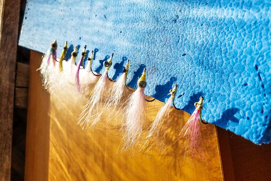 Saltfly Fishing for Tuna - The Fishing Website