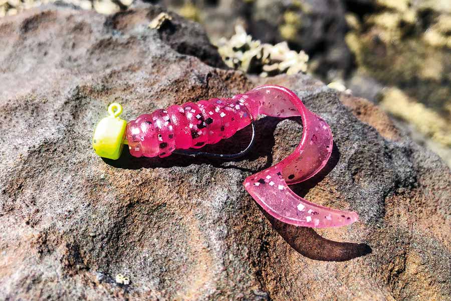 Snag-Free Soft-Baiting - The Fishing Website
