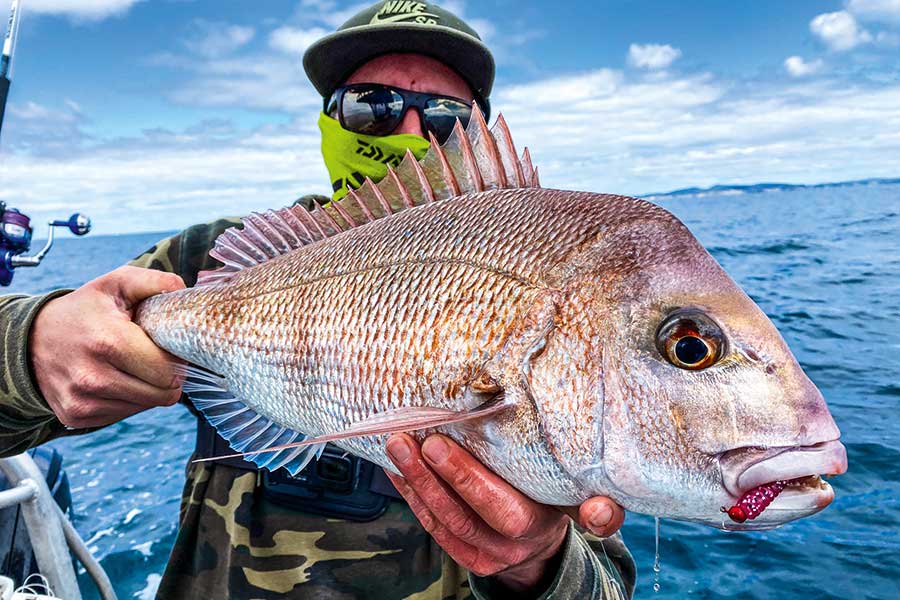Snag-Free Soft-Baiting - The Fishing Website