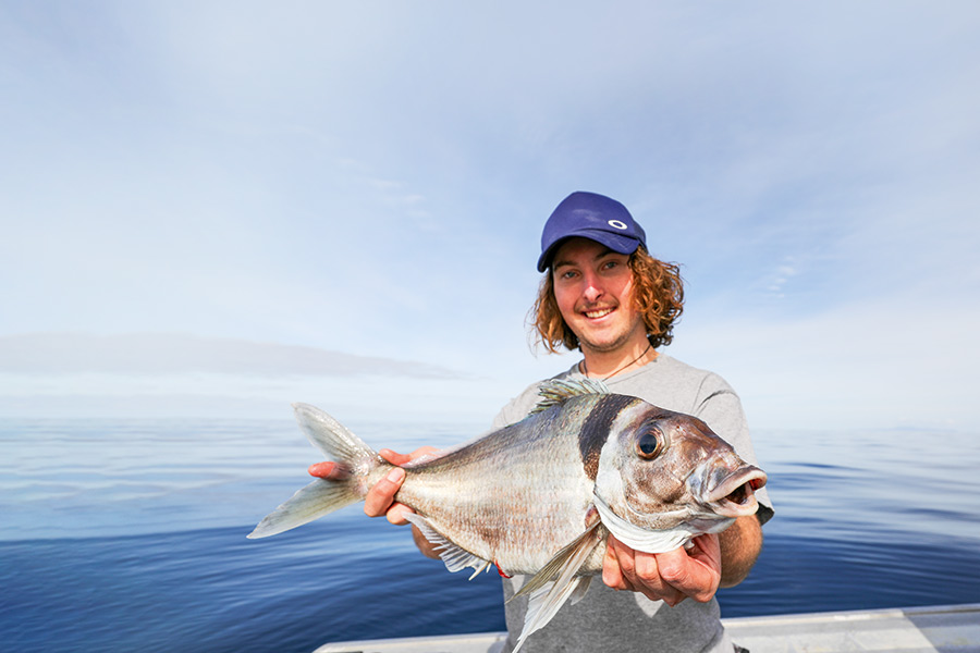 Tarakihi: The Forgotten Fish - The Fishing Website