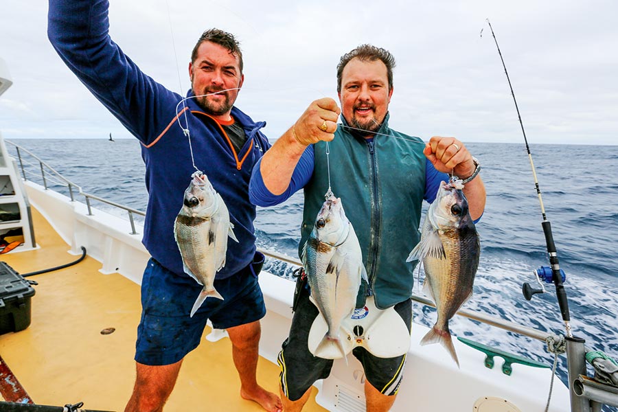 Tarakihi: The Forgotten Fish - The Fishing Website