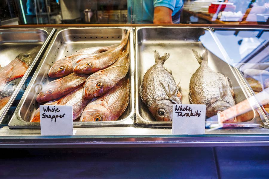 Tarakihi: The Forgotten Fish - The Fishing Website