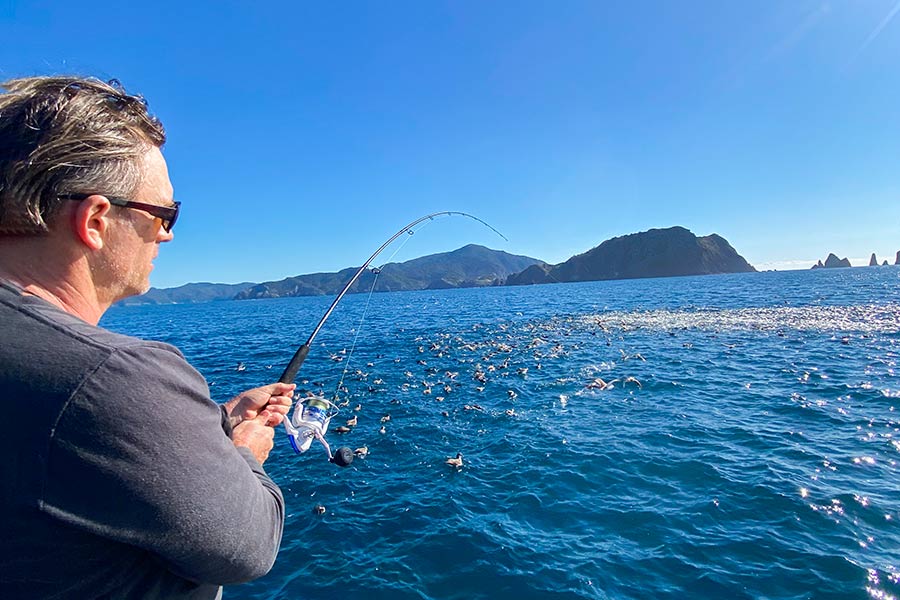 Trevally on lures - The Fishing Website