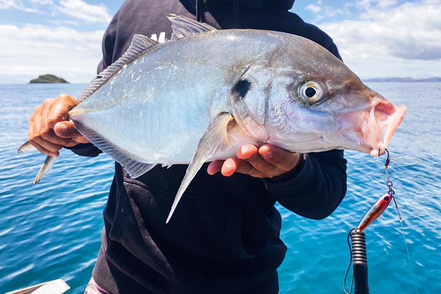 Trevally on lures - The Fishing Website